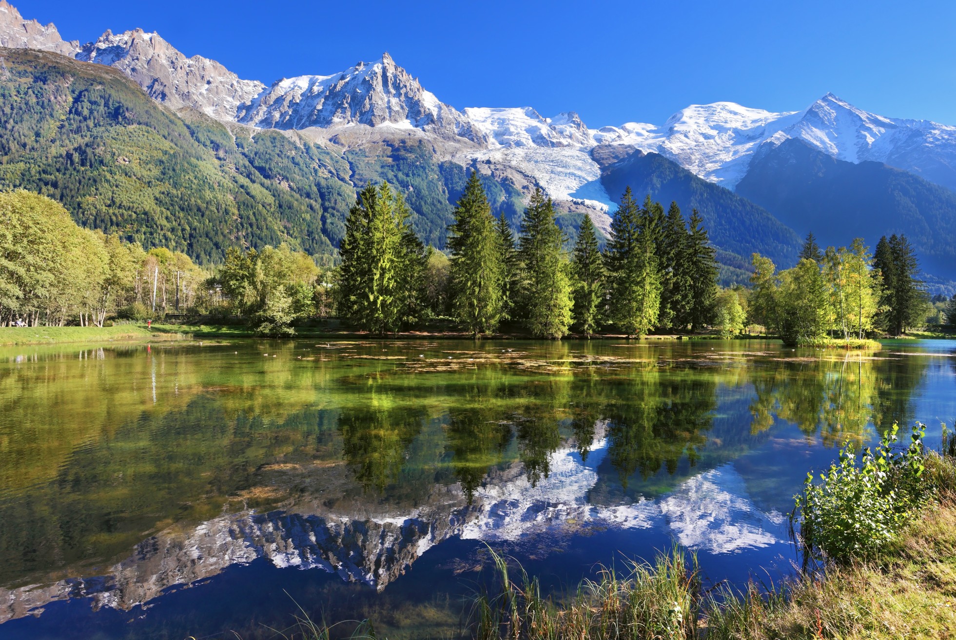 Chamonix-Mont-Blanc : l’été entre sommets et sensations